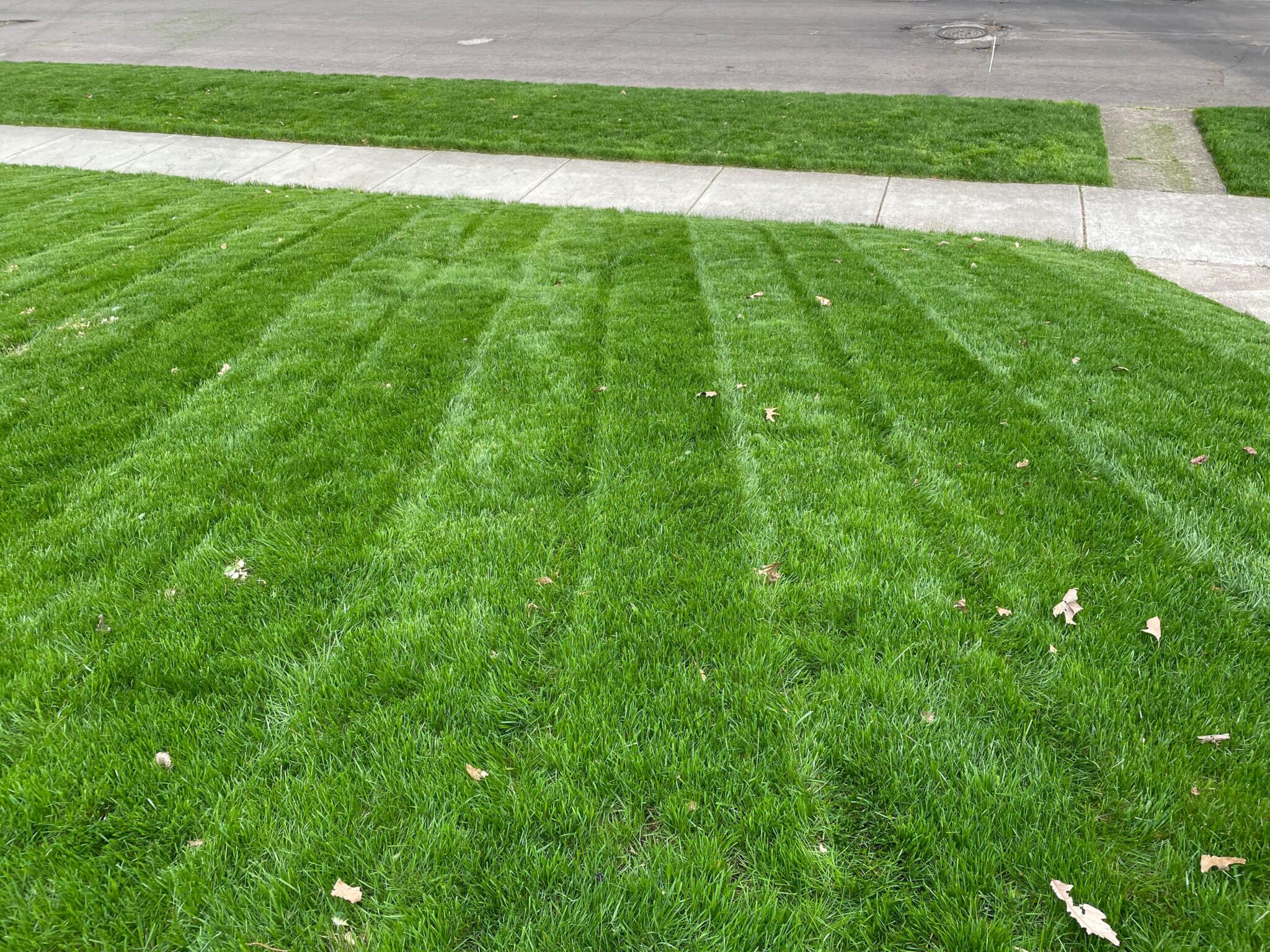 Indianapolis Lawn Care - Mowing Services - MYLOS - Mylos Lawn Care ...